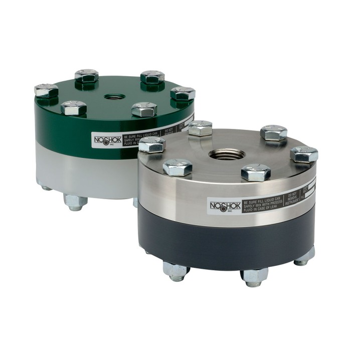 Type 10L Reduced Pressure, Non-Metallic Lower, Bolted, Replaceable ...